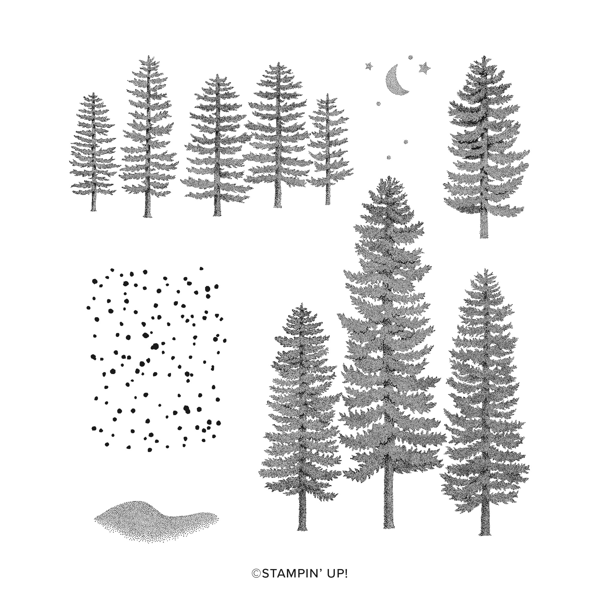 The Art of Stamp Crafting: A Beginner’s Guide - Stampin' Up Blog